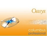 Columbus Professional – Software Mexico