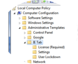 IE Tab – Software Mexico