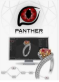 Panther – Software Mexico